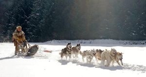 The Best Time to Visit Alaska - A Month by Month Guide ...