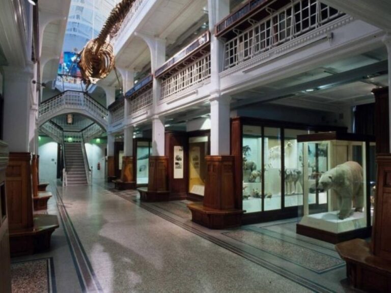 30 Unique Things to Do in Manchester, UK | theworkingtraveller.com