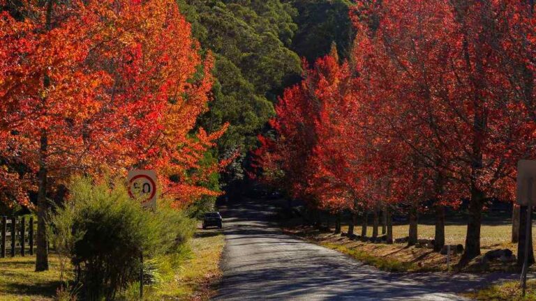 Best Time to Visit Australia (A Month by Month Guide) | The Working ...