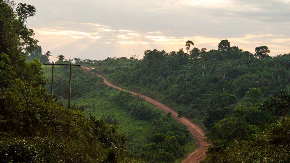 30+ Best Road Trips in the World for 50+ Nomads | The Working Traveller
